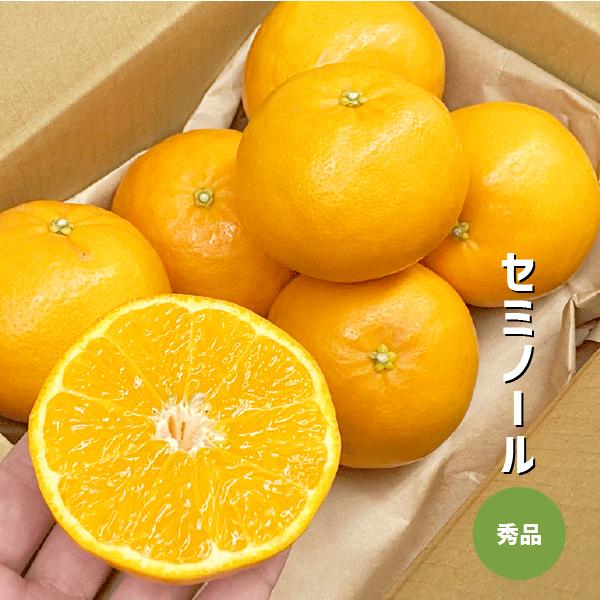 和歌山県産のセミノールをお届けします！セミノールは赤褐色の皮色で、甘み、酸味のバランスのよい柑橘の少ない時期にぴったりのフルーツです！内皮のままお召し上がりいただけますが、冬のみかんに比べると内皮は厚いので、半分に切ってスプーンですくうとお...