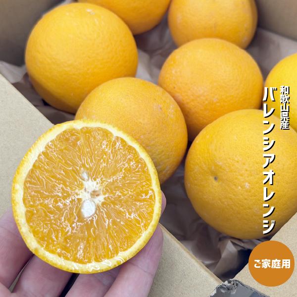 和歌山県産の「バレンシアオレンジ」を入荷しました！オレンジを代表する品種で、日本では和歌山県が生産量１位のオレンジ。オレンジの濃厚とした香りと一緒に、さっぱりとした甘酸っぱさをお楽しみいただけます。夏に旬を迎える、柑橘の少ない時期には貴重な...