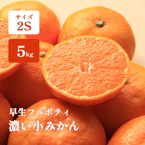 【発売日：2025年12月10日】■用途ギフト 進物■お届け時期12月中旬■お届けサイズ果重 60-80g/個■内容量約個/箱■1kgあたり単価1,516円(送料込)■最高糖度16.7%(2020年度)■最低糖度11.4%(2020年度)■...