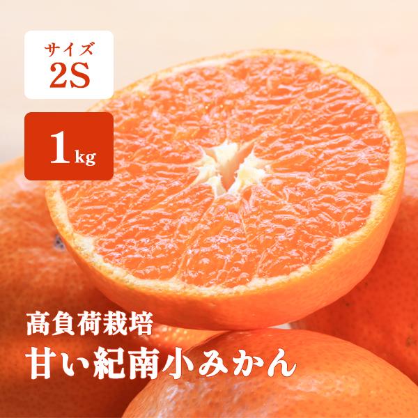 【発売日：2025年12月05日】■用途自宅用■お届け時期12月上旬-12月下旬■お届けサイズ果重 約60-80g/個■内容量約14-16個/箱■1kgあたり単価1,080円(送料別)■最高糖度14.4%(2024年度) 15.8%(202...