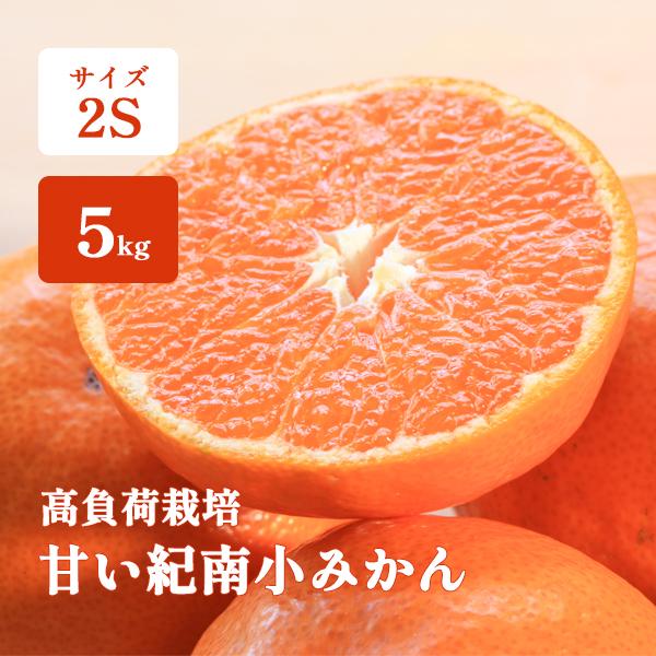 【発売日：2025年12月05日】■用途自宅用■お届け時期12月上旬-12月下旬■お届けサイズ果重 約60-80g/個■内容量約70-75個/箱■1kgあたり単価896円(送料込)■最高糖度14.4%(2024年度) 15.8%(2023年...