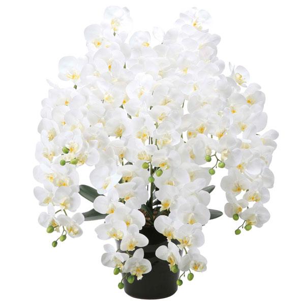 サイズ(約):W80×D60×H90cm重量(約):5000g材質:本体/ポリエチレン＋EVA＋スチール、花器/陶器生産国:日本加工:光触媒加工（V-CAT）説明:酸化チタン光触媒は、植物の葉緑素が光のエネルギーを使って二酸化炭素を酸素に変...