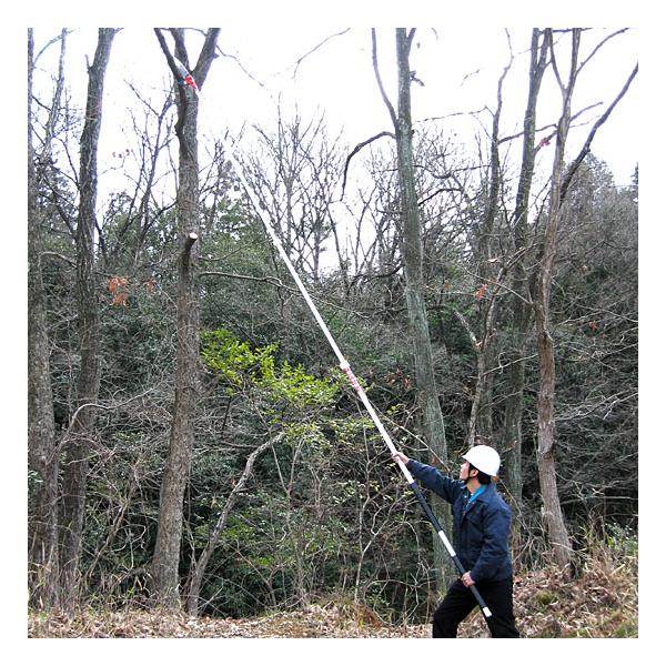 杉、桧の枝打ち用として開発されたプロ仕様。最長6.5mにも伸びる長い柄で、屋根の上に掛かった枝や、足場が悪く真下へ踏み込めず距離のある枝もラクに切れます。■サイズ（約） 全長6.5m（収納時：2.3m）刃長：39cm ■重量（約） 2.4k...