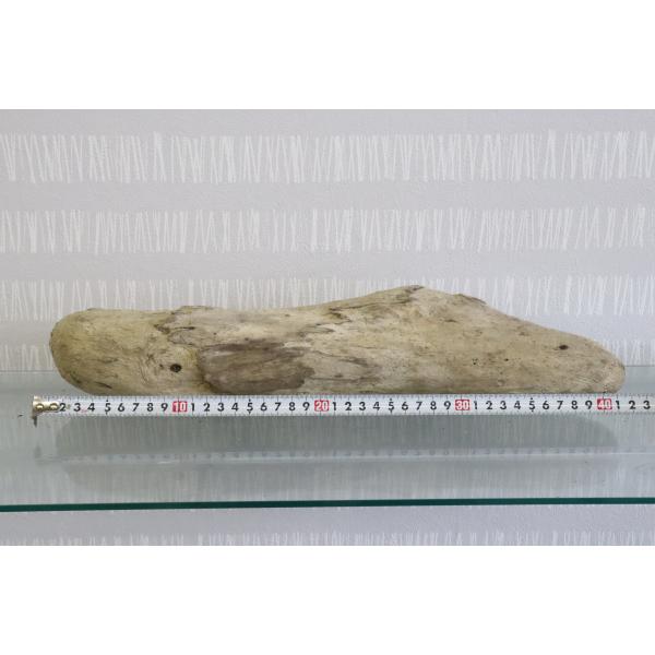 表札やポップアップ希望用の流木です。一文字800円が目安です。５文字入れた過程で金額設定していますので、文字を確認後改めて金額のお見積をさせて頂きます。字体はデータがあれば送って下さい。特別細いものでない限り可能です（要相談）。流木は秋田県...