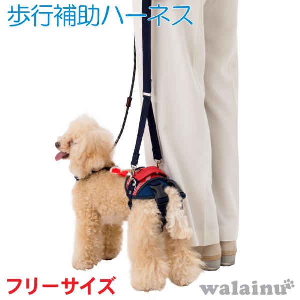 良い犬具で愛犬も末永く健やかに！独立した装飾模様として使われ続けられるペイズリーデザイン。素材：表地　無　　地　綿100%裏地／首まわり　ポリエステル100%テープ　　　　　アクリル持ち手　　　　　合皮サイズ：フリーサイズ学生服のトップメー...