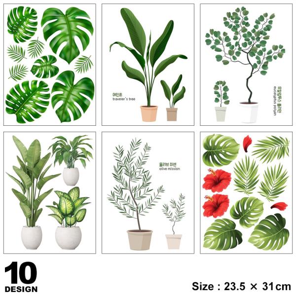 【観葉植物の貼ってはがせるウォールステッカー】お部屋の中に緑が増える、観葉植物のウォールステッカー。貼ってはがせるウォールステッカーなので、原状回復が必要な賃貸物件でもご利用頂けます。【ウォールステッカーで簡単にお部屋の模様替え】ウォールス...