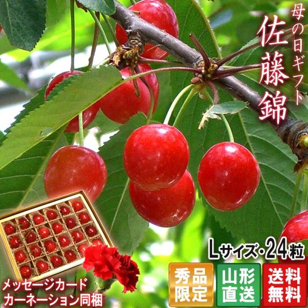 【発売日：2026年05月04日】　この「佐藤錦」の名前の由来は、山形県東根市の佐藤栄助氏がさくらんぼを交配育成した事にちなんで「佐藤錦」と命名されたました。「砂糖のように甘い」という意味も込めて名づけられましたが、とにかく甘いしコクがあり...