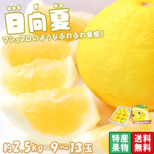 【発売日：2025年02月15日】◆白い皮に甘みのある上品な味わいの特産品！日向夏　日向夏は1800年代に宮崎県の宅地内で偶然見つかった柑橘であり、現在そのほとんどが宮崎県で栽培されています。　このフルーツは果皮の白い部分に甘みがあることが...