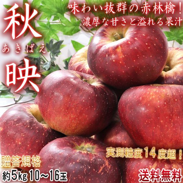 【発売日：2023年10月15日】◆硬い果肉に豊富な果汁と濃厚な甘酸っぱさ「秋映」！　秋映は1993年に品種登録が行われた長野県生まれの赤リンゴです。　果実が黒味のかかった濃い赤色で特徴的な見た目であり、また糖度が高いだけでなく程よい酸味も...