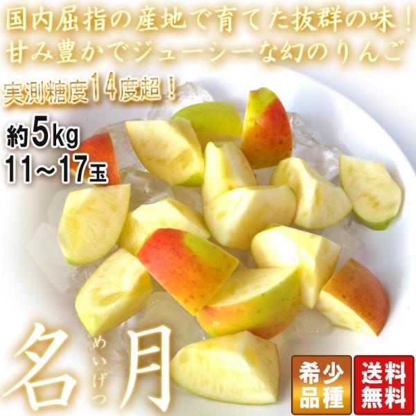 【発売日：2026年10月30日】◆味・香り共に優秀な蜜の入る黄色りんご「名月」！　名月は1991年に品種登録された黄色りんごであり、「あかぎ」と「ふじ」の交配で生まれた群馬県生まれの晩生種リンゴです。　非常に希少で幻のりんごと呼ばれること...