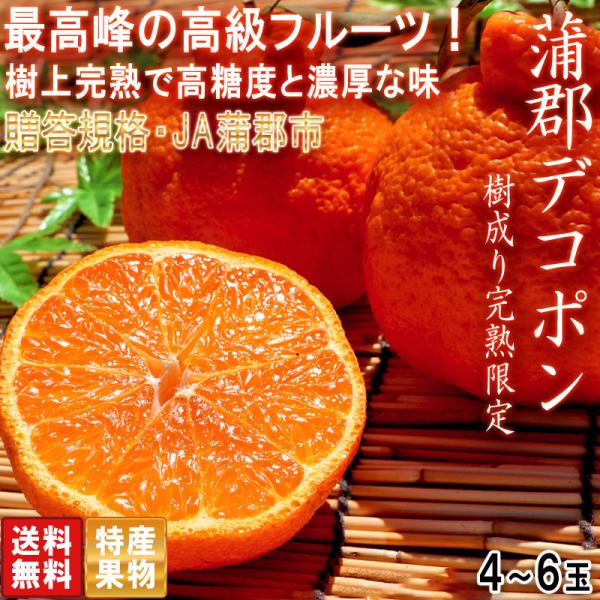 【発売日：2026年04月02日】◆日本農業賞、最優秀賞に輝いたJA蒲郡市　JA蒲郡市は、高品質な柑橘を生産することで有名な愛知県の海辺の町です。　意欲的な経営や技術の発展、地域貢献が評価され、第３９回日本農業賞において最優秀賞である大賞を...