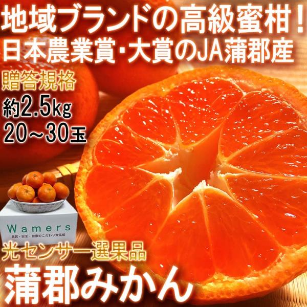◆日本農業賞、最優秀賞に輝いたJA蒲郡市！　JA蒲郡市は愛知県の三河湾に面した海辺の町であり、毎年高品質な柑橘を生産することで有名な産地です。　特に蒲郡の蜜柑は県内農産物で初めて登録がされた作物であり、露地栽培と温室栽培を組み合わせることで...