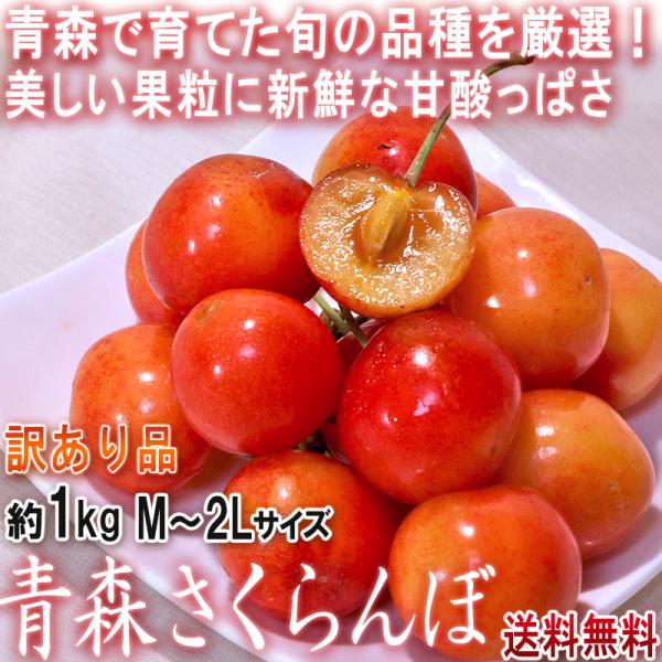 ◆優れた味わいと美しさ、佐藤錦　佐藤錦は日持ちが良いさくらんぼを目指して開発された品種であり、その品質の良さから海外でも有名な品種となっております。　やわらかな果肉は甘みが豊富であり、酸味とのバランスが良いため非常に優秀な味わいのさくらんぼ...