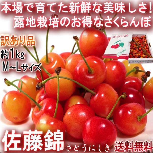 【発売日：2026年06月10日】◆生産量日本一、山形県のさくらんぼ　山形県は明治からさくらんぼの育成をはじめ、全国に先んじて栽培の実績をあげた非常に栽培に適した地方です。　土壌環境や気象条件などの複雑な育成条件を満たす地域であり、全国生産...