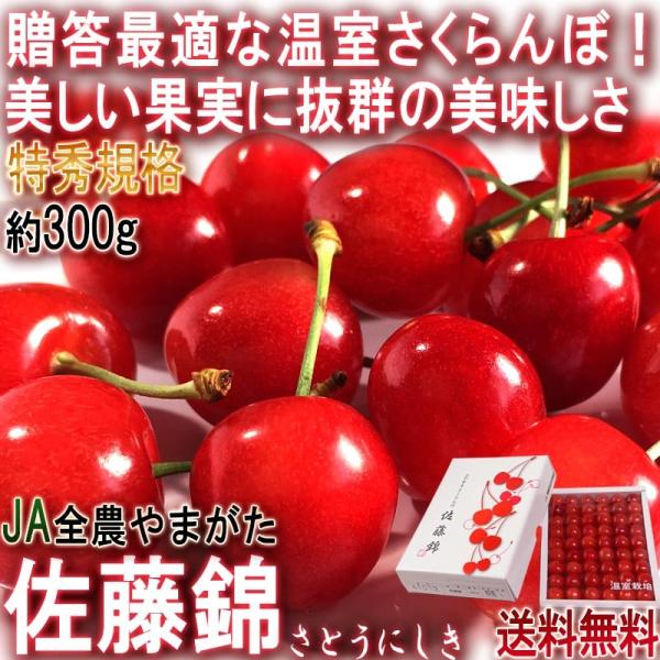 【発売日：2026年04月11日】◆生産量日本一、山形県のさくらんぼ　山形県は明治からさくらんぼの育成をはじめ、全国に先んじて栽培の実績をあげた非常に栽培に適した地方です。　土壌環境や気象条件などの複雑な育成条件を満たす地域であり、全国生産...