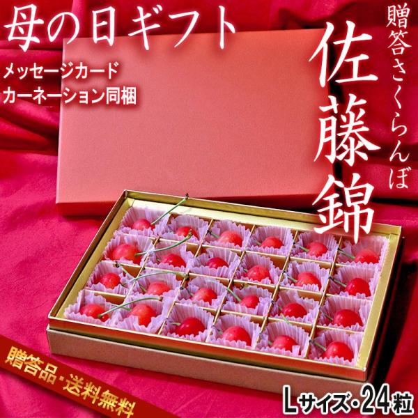 【発売日：2026年05月04日】◆生産量日本一、山形県のさくらんぼ　山形県は明治からさくらんぼの育成をはじめ、全国に先んじて栽培の実績をあげた非常に栽培に適した地方です。　土壌環境や気象条件などの複雑な育成条件を満たす地域であり、全国生産...