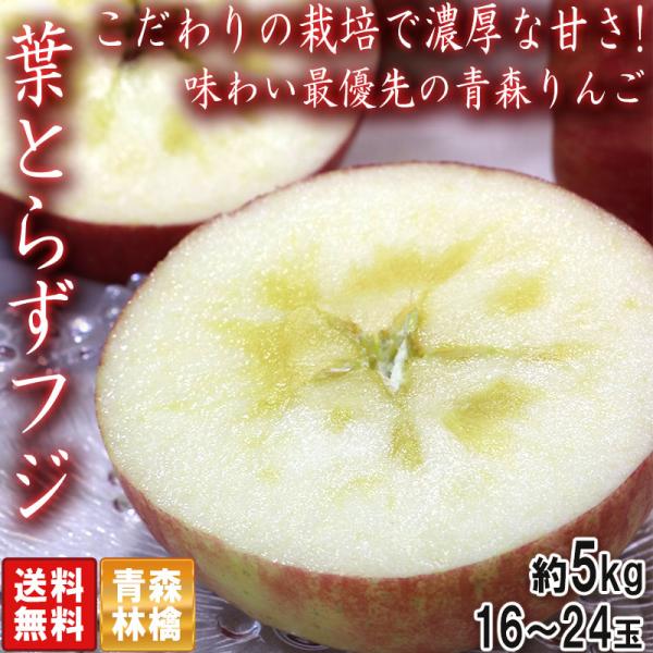 ◆フジ林檎〜日本で最も有名な林檎〜　フジは「国光」と「デリシャス」を交配して生まれた林檎であり、1962年に品種登録されました。　高い糖度と程よい酸味がある濃厚な味わいと豊富な果汁、シャキシャキとした歯触りから多くの人に愛され続けた品種であ...