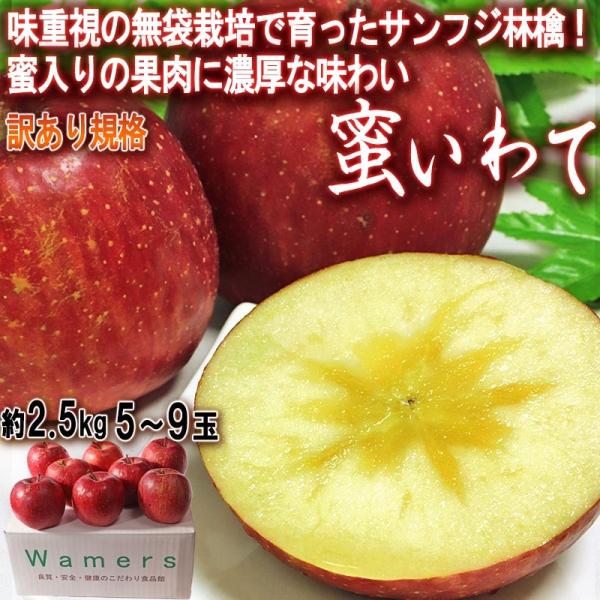 【発売日：2019年11月20日】◆人気品種、フジ林檎〜日本で最も生産される林檎〜　フジは「国光」と「デリシャス」を交配し、1962年に品種登録された林檎です。日本で最も多く栽培されているリンゴであり、豊富な果汁と甘み豊かでバランスの良い味...