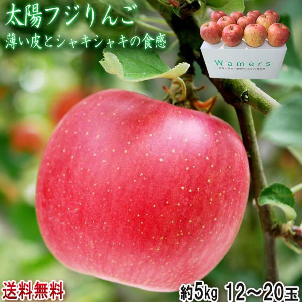 【発売日：2025年11月20日】◆人気品種、フジ林檎〜日本で最も生産される林檎〜　フジは「国光」と「デリシャス」を交配し、1962年に品種登録された林檎です。日本で最も多く栽培されているリンゴであり、豊富な果汁と甘み豊かでバランスの良い味...