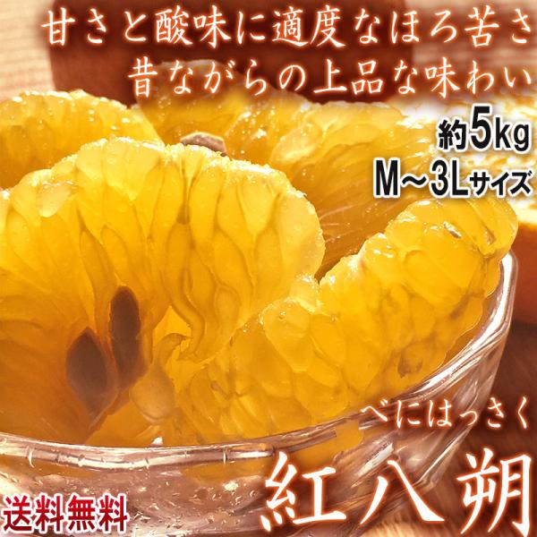 ◆温暖な気候の柑橘産地、熊本県の柑橘熊本県は年間平均気温が17度前後の温暖な気候と、海沿いの地方ならではの海面からの太陽光の照り返し、斜面が多く水はけのよい大地といった柑橘類を育てることに非常に適した条件をもつ地域です。そのため、熊本県はデ...