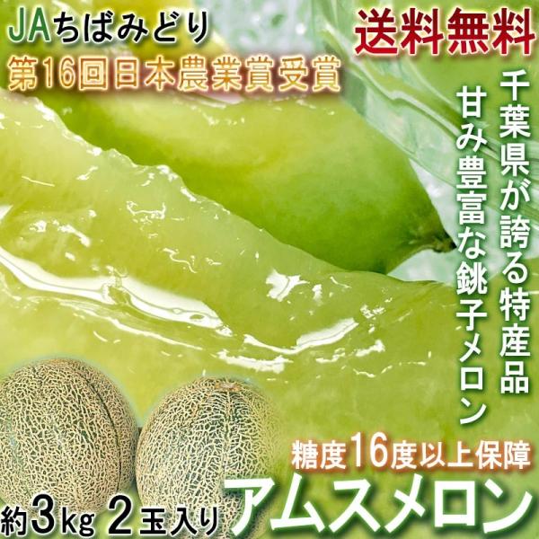 【発売日：2026年06月18日】「お中元」「ギフト」第16回日本農業賞受賞最上等級の★甘さ16★銚子のアムスメロン千葉県銚子市は太平洋に面し、6月の平均気温が約19度、降水量・日照時間など海洋性気候がメロンを美味しく育てます。 銚子メロン...
