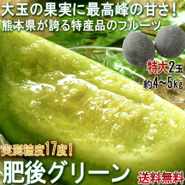 【発売日：2026年05月25日】◆トップクラスの糖度！人気の青肉メロン「肥後グリーン」　肥後グリーンはネット系の青肉メロンの一種であり、松井農園が開発したオリジナルブランドのメロンです。　縦長の形をしているメロンであり、少し粗目のネットと...