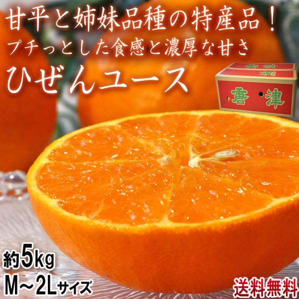 【発売日：2026年03月04日】◆ジューシーな食感に濃厚な味と甘さ！甘平の姉妹品種「ひぜんユース」　『ひぜんユース』は佐賀県が20年以上もの歳月をかけて開発し、令和3年2月10日にデビューした新品種の高級タンゴールである「にじゅうまる」の...