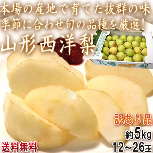 【発売日：2026年10月30日】◆最も生産量の多い西洋梨、ラ・フランス！　ラフランスは1864年にフランスで発見された西洋梨であり、その素晴らしい味の良さからフランスを代表する果物であるとして「ラ・フランス」と名付けられた果物です。　日本...