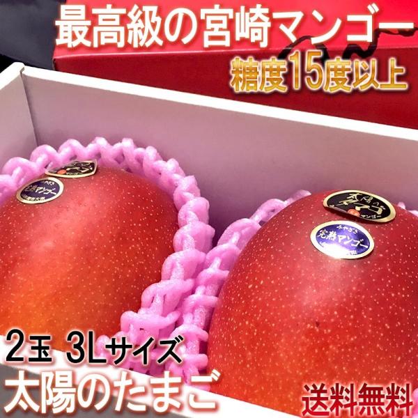 ◆太陽のたまご〜糖度・サイズ・外見保障で最高級の宮崎マンゴー〜 宮崎マンゴーはテレビでも紹介されたことのある果物であり、2017年の初競りにおいては2玉で40万円もの値段となるものが出るほど高価なフルーツとなっております。 その中でもJA宮...