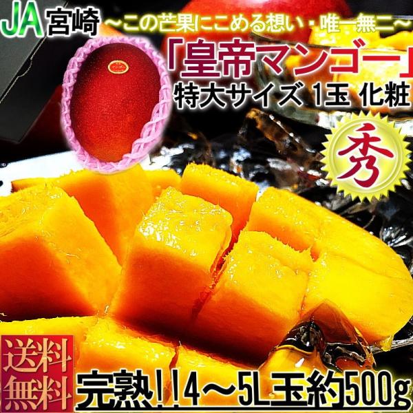 【発売日：2020年06月25日】◆国内有数の高品質なマンゴー産地、宮崎県！　宮崎県は県をあげて盛んにマンゴーの育成や栽培方法の研究が行われる日本有数の大産地です。　マンゴーの栽培に適した暖かな気候と日射量の多さに加え、日本で初めて「ネット...