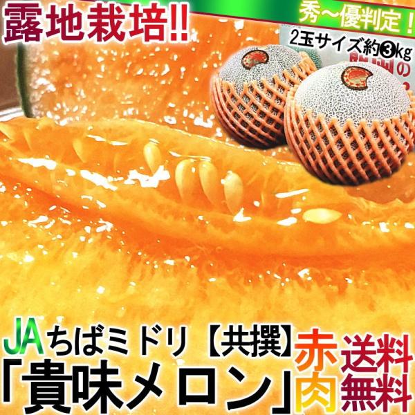 【発売日：2026年07月07日】「お中元」「ギフト」送料無料でJAちばみどり（飯岡メロン部会）が造る絶品!!千葉県から産地直送でお取り寄せ更に今なら送料はただ!!糖度・鮮度・味・香・見た目/全てにおいて自信のある品です。メロンは果肉の色に...