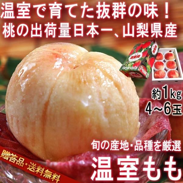 【発売日：2026年05月09日】送料無料でお届け!!山梨は、落葉果樹の栽培に適した自然条件を最大限に生かして、生産量日本一のブドウ、モモ、スモモをはじめサクランボ、カキ、リンゴ、ウメなど多種多様な果実が生産され「くだもの王国山梨」の名を全...