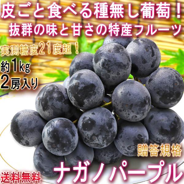 【発売日：2020年09月01日】◆大粒・種無し・高糖度の皮ごと食べる高級ぶどう「ナガノパープル」！　「ナガノパープル」は長野県のオリジナル品種で、「巨峰」と「リザマート」の交配により誕生した大粒の黒ぶどうです。　長野県須坂市の長野県果樹試...