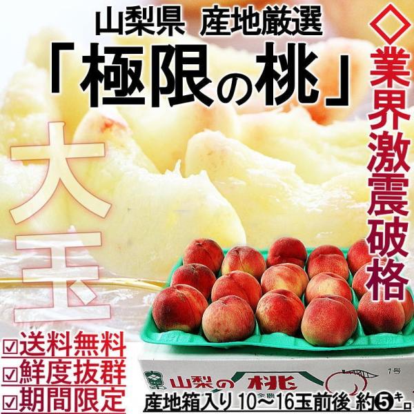 【発売日：2026年06月21日】商品は山梨県産の春日居や一宮など、季節に合わせて厳選した旬の桃です。桃はとても多品種。桃には、非常にたくさんの品種があり、その理由は大きくふたつに分かれます。ひとつはもちろん、病気にも強い、美味しい桃を改良...