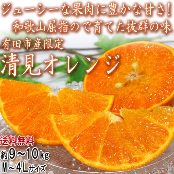 ◆450年の歴史を持つ有田の柑橘有田市は海と山と川をもつ自然豊かな地域であり、450年近い柑橘栽培の歴史を持つ有名な柑橘産地です。山々には一面の段々畑が広がり、蜜柑・清見など多様な柑橘が毎年収穫されています。年平均気温16.5℃で夏場に雨の...