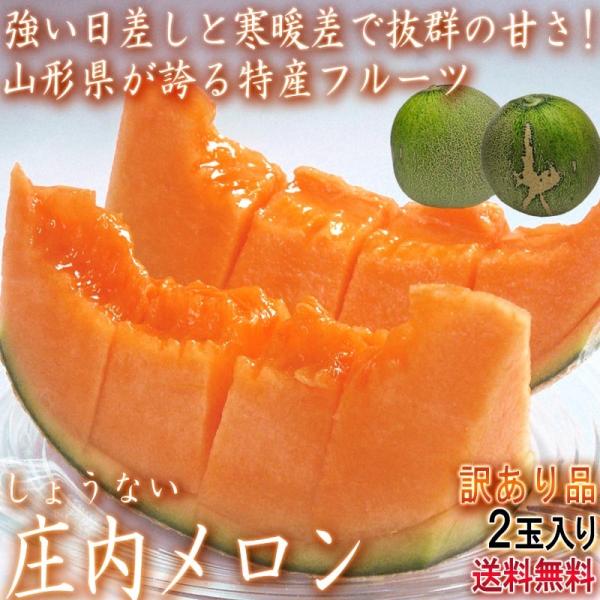 【発売日：2026年07月15日】◆砂丘で育てた抜群の甘さと食感の特産フルーツ「庄内メロン」！　山形県はメロンの生産量が全国４位の大産地であり、その多くが県の日本海側に位置する庄内砂丘で生産されています。　庄内砂丘は日本三大砂丘のひとつであ...