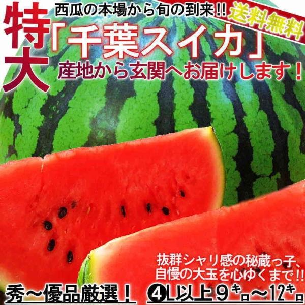 【発売日：2026年06月13日】◆全国2位の出荷量！長年続く千葉県のスイカ栽培　千葉県はスイカの出荷量が全国２位の大産地であり、干潟や砂地帯を利用して300年以上スイカの栽培が続けられてきました。　祭りばやしやマダーボール・ブラックジャッ...