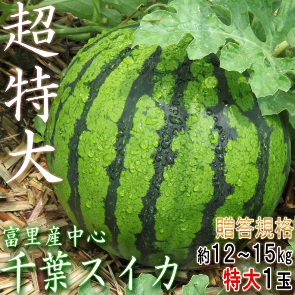 【発売日：2026年06月20日】◆全国2位の出荷量！長年続く千葉県のスイカ栽培　千葉県はスイカの出荷量が全国２位の大産地であり、干潟や砂地帯を利用して300年以上スイカの栽培が続けられてきました。　祭りばやしやマダーボール・ブラックジャッ...
