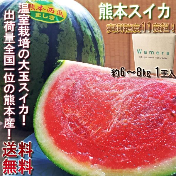 【発売日：2017年03月23日】◆日本有数の大産地、熊本県のスイカづくり　熊本県は全国一位のすいか出荷量を誇る大産地です。　西瓜は育成難易度の高い作物であり、育成には寒暖差の大きな気候や豊かな土壌、徹底した温度管理と水分の調整が必要となり...