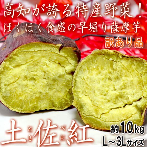 【発売日：2025年09月30日】