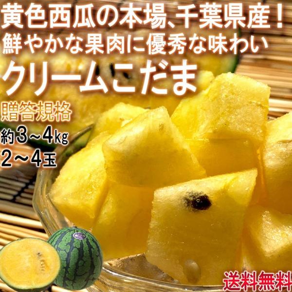 【発売日：2023年04月30日】◆全国2位の出荷量！西瓜の大産地、千葉県　千葉県は西瓜の出荷量が全国2位の大産地であり、昭和11年に皇室に西瓜を献上した有名な産地である富里市を抱える日本有数の西瓜産地となっております。　また、千葉県の成田...