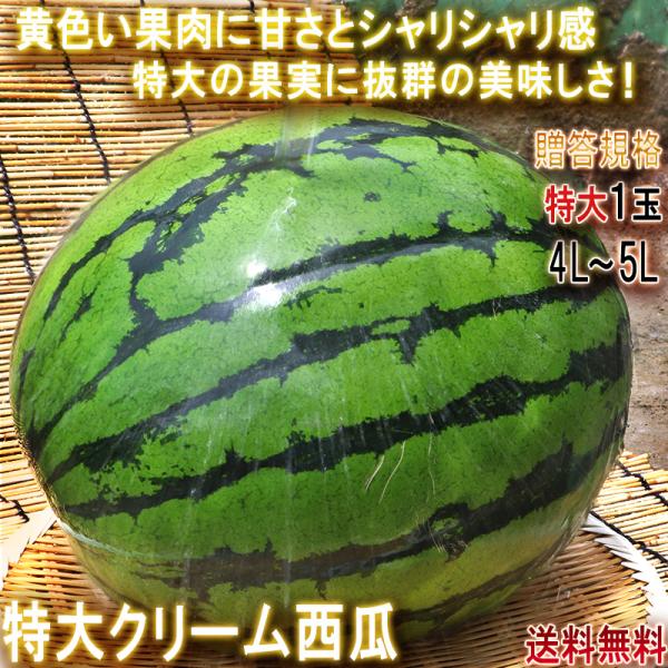 【発売日：2026年05月20日】◆全国2位の出荷量！西瓜の大産地、千葉県　千葉県は西瓜の出荷量が全国2位の大産地であり、昭和11年に皇室に西瓜を献上した有名な産地である富里市を抱える日本有数の西瓜産地となっております。　また、千葉県の成田...