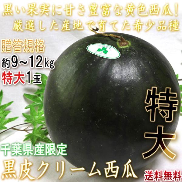 【発売日：2023年06月20日】◆全国2位の出荷量！西瓜の大産地、千葉県　千葉県は西瓜の出荷量が全国2位の大産地であり、昭和11年に皇室に西瓜を献上した有名な産地である富里市を抱える日本有数の西瓜産地となっております。　また、千葉県の成田...