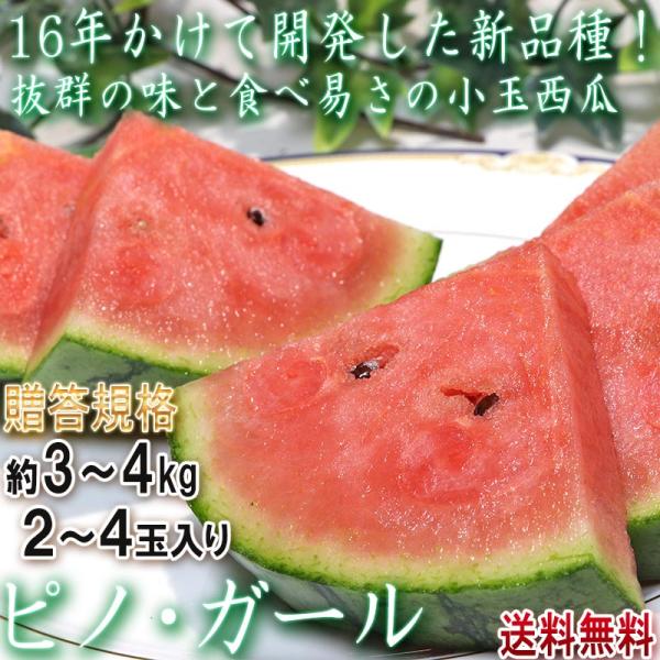 【発売日：2023年04月22日】