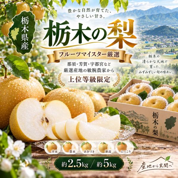 【発売日：2026年10月03日】