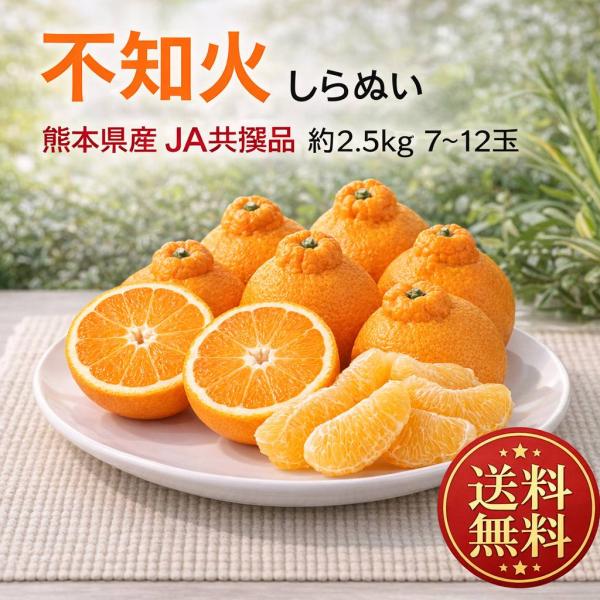 【発売日：2024年02月20日】送料無料！当商品は温室から始まり屋根掛け商品にてご納品します。※しらぬひはデコと同一品種であり糖度・酸度・見た目のどれか1つでも基準に乗らない品を不知火として出荷します。（つまり糖度はデコという事も大いにあ...