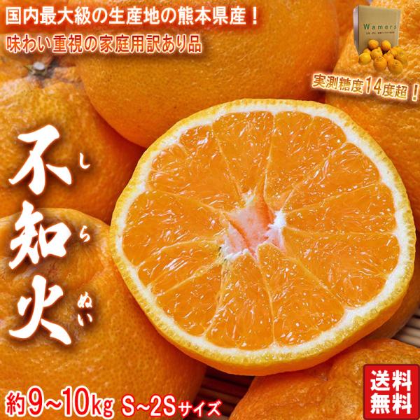 ◆デコポンの栽培適地、熊本県で育成した個人農家産の不知火！　不知火の生産量全国１位・本場の熊本県で育成した自慢の商品「不知火(しらぬい)」です！　高い知名度と人気を誇る柑橘であるデコポンと同品種のタンゴールであり、個人農家が選果した商品のた...