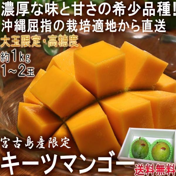 【発売日：2025年07月29日】◆日本一の出荷量！宮古島のマンゴー栽培　宮古島は日本一の出荷量を誇るマンゴー産地であり、沖縄県の中でも数少ない加温なしでマンゴーを栽培できる温暖な地域です。　栽培で日照と気温が重要なマンゴーを強い太陽の日差...