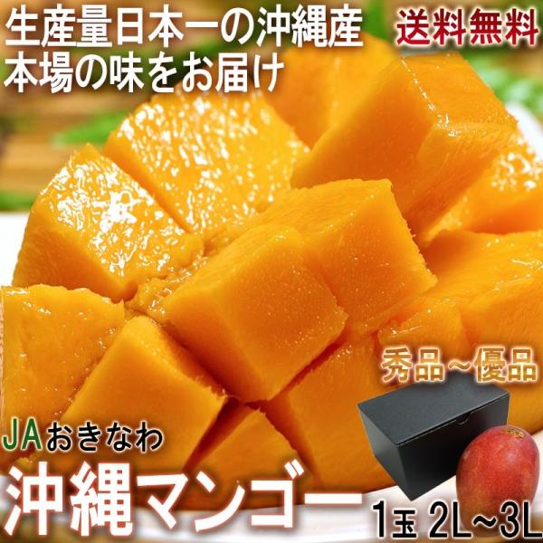 【発売日：2019年06月11日】◆マンゴーの出荷量日本一！沖縄のマンゴー　沖縄県はマンゴーの生産量が日本一であり、全国シェアの半分近くを占める大産地です。　強い太陽の日差しと高い気温で完熟させることで、非常に糖度が高く高品質な仕上がりとな...