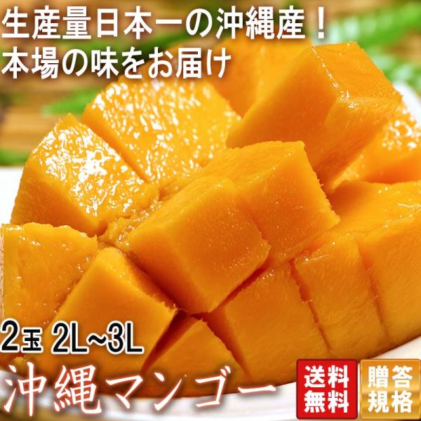 【発売日：2019年06月25日】◆マンゴーの出荷量日本一！沖縄のマンゴー　沖縄県はマンゴーの生産量が日本一であり、全国シェアの半分近くを占める大産地です。　強い太陽の日差しと高い気温で完熟させることで、非常に糖度が高く高品質な仕上がりとな...